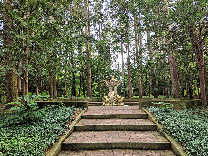 This fountain, nestled among towering pines, creates a secret oasis where the sound of splashing water drowns out the modern world.