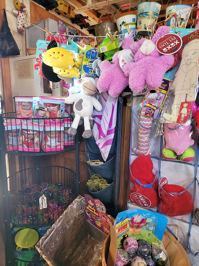 Stuffed animals and modern toys mingle with vintage finds, proving that the museum honors the entire spectrum of childhood joy across generations.