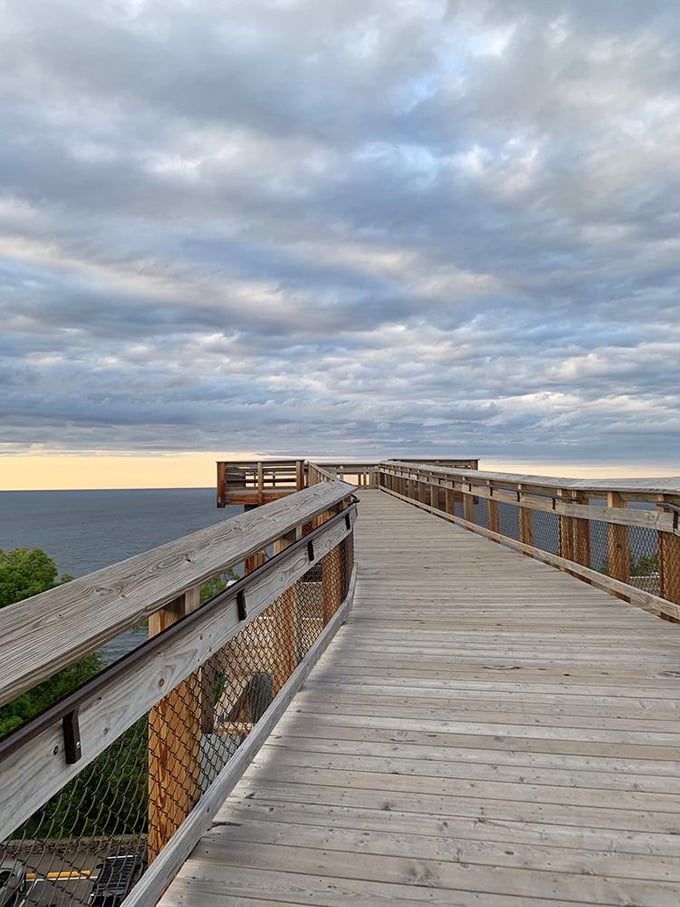 The wooden boardwalk stretches toward the horizon, inviting visitors to walk above the treetops for views that defy description.