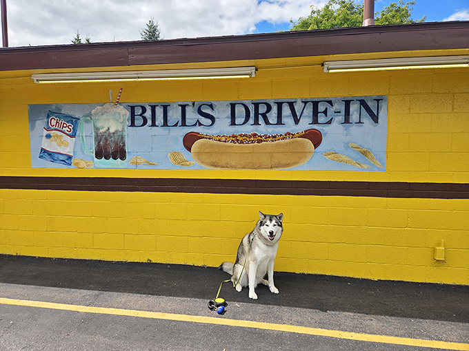Even dogs appreciate the artistic merit of Bill's wall mural &ndash; a canine connoisseur contemplating the simple pleasures of hot dogs.