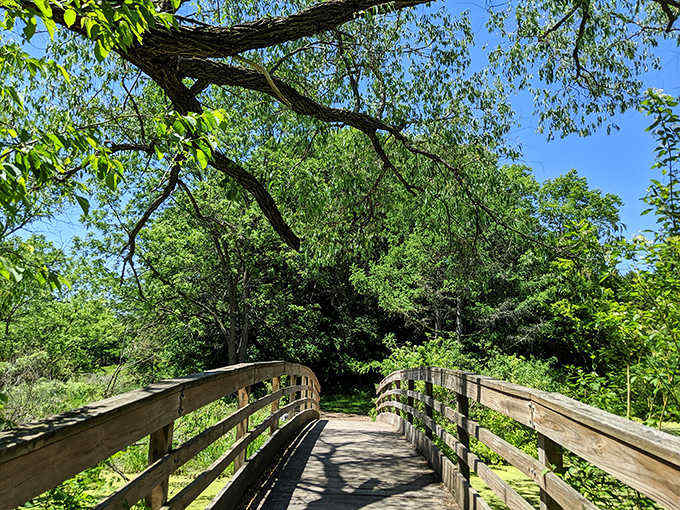This rustic bridge seems to whisper promises of undiscovered botanical treasures just around the bend, the perfect invitation to keep exploring.