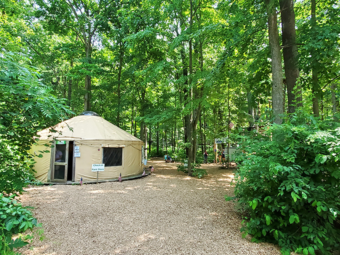 The welcoming yurt serves as base camp for aerial adventurers preparing to leave the ground behind.