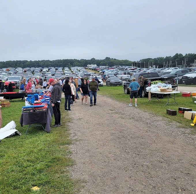 The thrill of the hunt: Shoppers navigate the main thoroughfare, eyes scanning for unexpected treasures while parking lots stretch to the horizon.