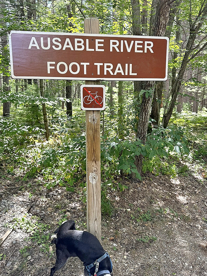 The Au Sable River Foot Trail sign marks the beginning of an adventure that might just reset your definition of "Michigan beauty."