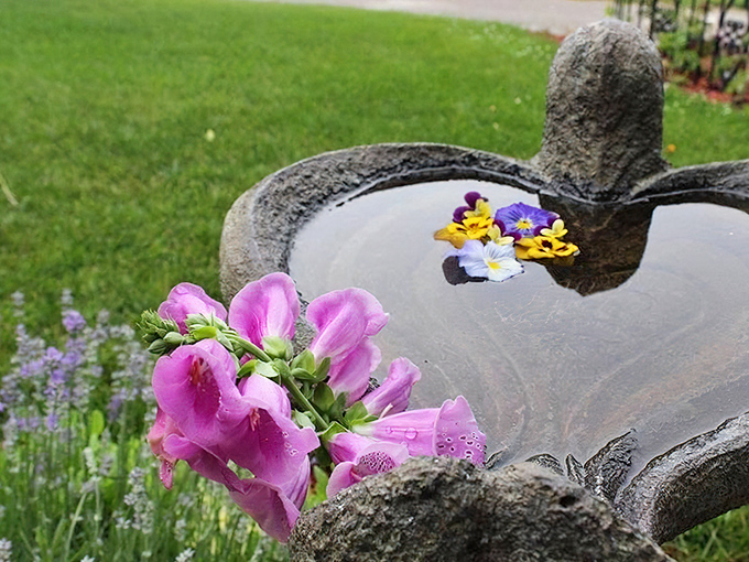 Bird Bath: Delicate foxglove and vibrant pansies float in an ancient stone birdbath, creating a moment of zen in the carefully tended gardens.