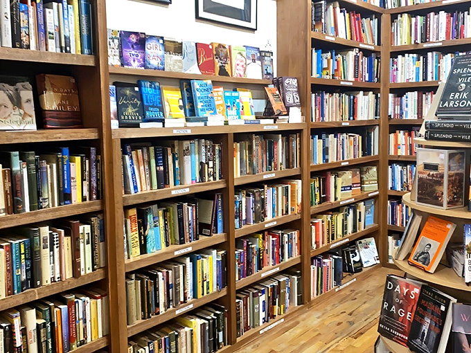 Each shelf tells its own story through carefully curated titles, creating conversations between authors separated by centuries but united by ideas.