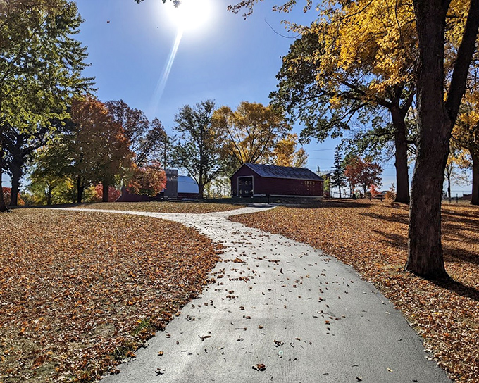 Cedar Lake Farm Regional Park showcases Minnesota's natural beauty in autumn, where walking paths wind through a tapestry of fall colors.