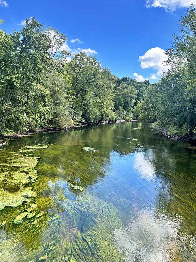 Dexter-Huron Metropark's clear waters and towering trees create a riverside sanctuary where the only notification you'll receive is from Mother Nature herself.