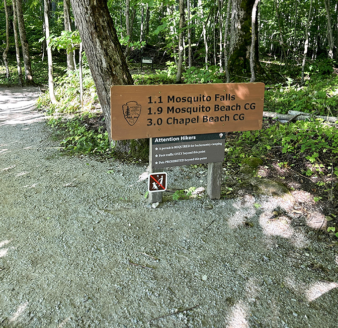Trail signs point the way to adventure, promising waterfalls and beaches that somehow exceed the expectations they've just created.