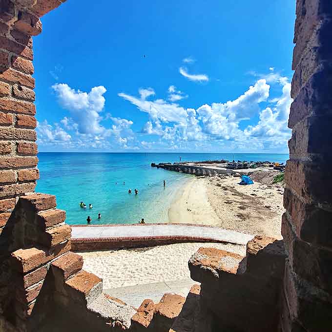 Visitors explore crystal waters that reveal every detail below. At Dry Tortugas, snorkeling isn't an activity&mdash;it's a revelation.