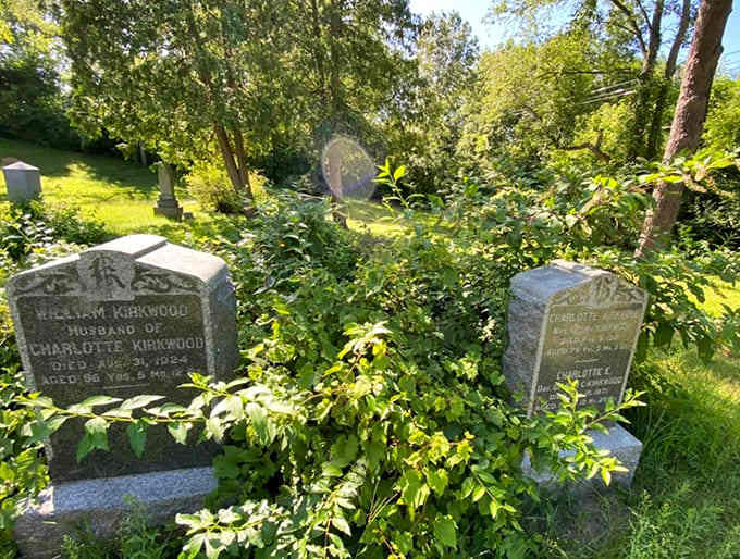 Plants and headstones coexist in natural harmony, creating a garden of memory where history and nature refuse to be separated.