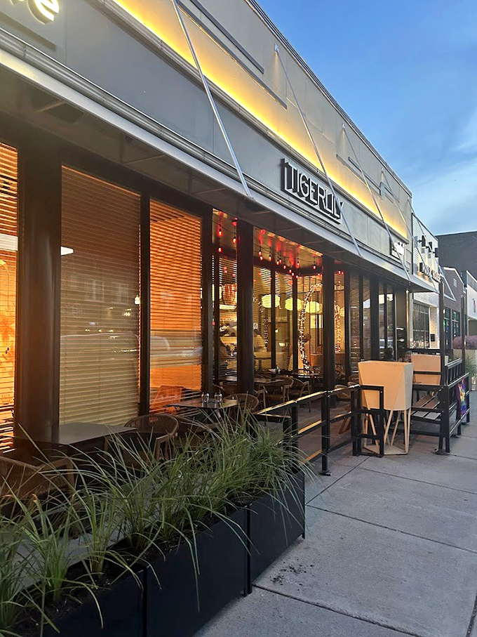 Even from the sidewalk, TigerLily beckons with warm light and the promise of culinary adventure just steps away.