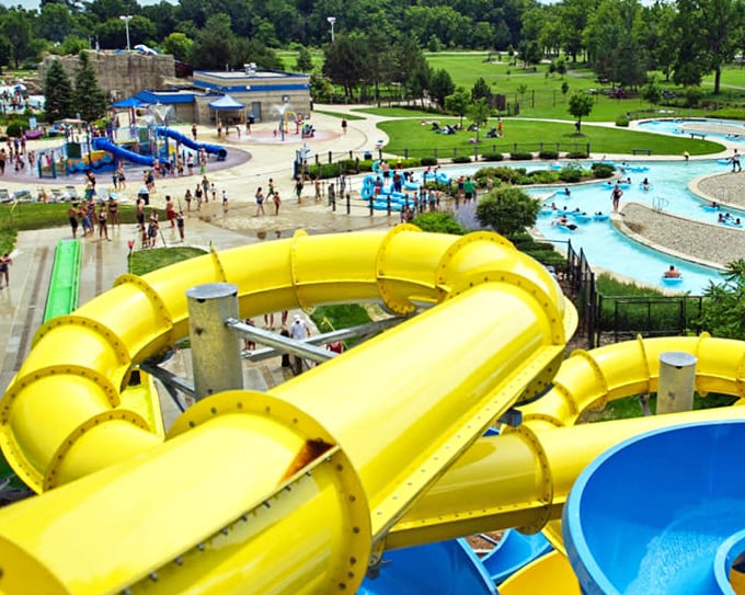 Where courage meets gravity in a negotiation that always ends with a splash.