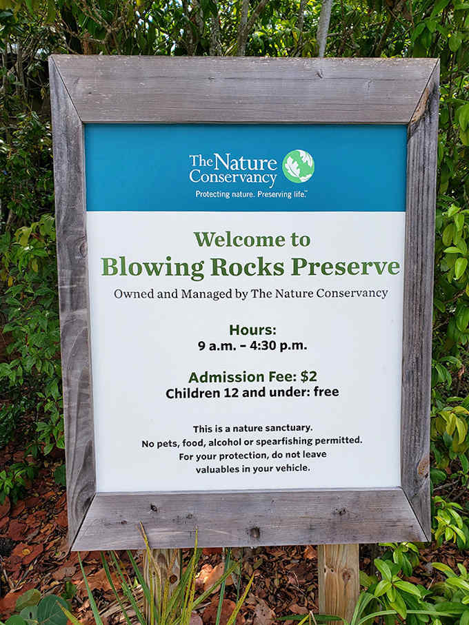 For just $2, visitors gain access to Florida's most dramatic coastal show &ndash; proving once again that Mother Nature offers the best entertainment value around.