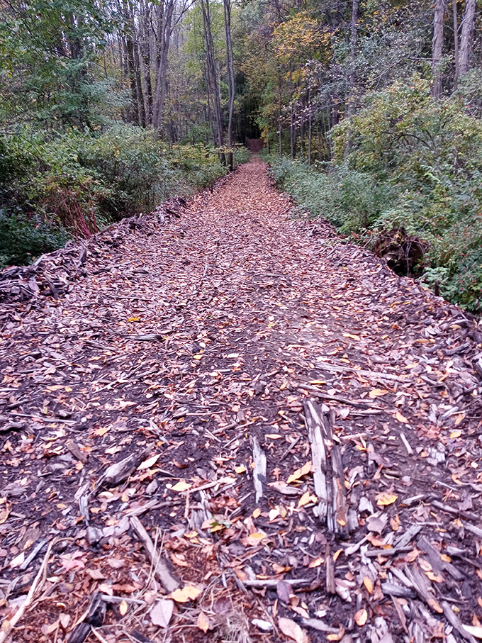 Seasons change, but the road remains, cutting through the landscape like a timeline connecting past to present.