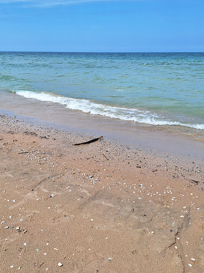 The shoreline tells stories in sand and stone, where each wave leaves behind tiny treasures for those patient enough to discover them.