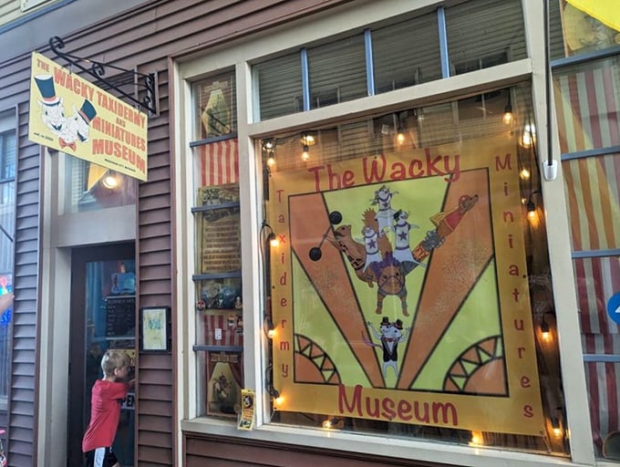 The vibrant storefront window display gives passersby just a taste of the whimsical weirdness waiting inside.