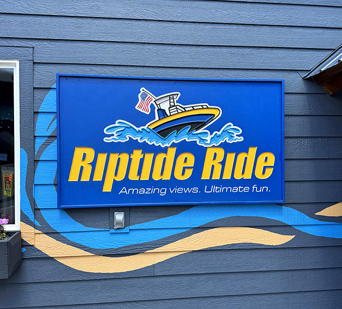 "Amazing views. Ultimate fun." &ndash; the understatement of the century for what awaits beyond these doors.