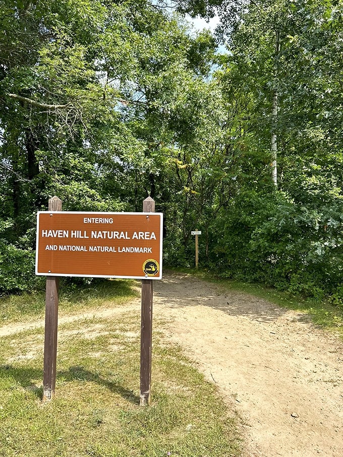 The gateway to wonderland. This unassuming entrance sign marks the boundary between ordinary life and Haven Hill's extraordinary world.