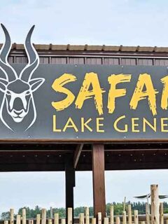 The Wonderfully Quirky Restaurant In Wisconsin With Live Goats Grazing ...