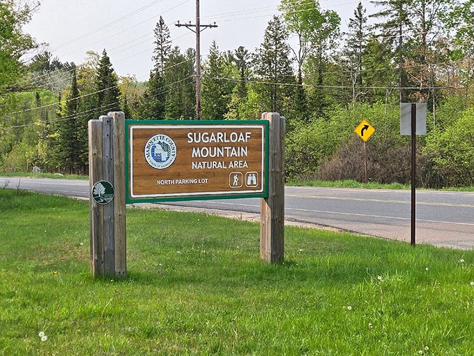 This welcoming sign is Michigan's way of saying, "Come on in, the nature's fine!" without actually having to talk to anyone.