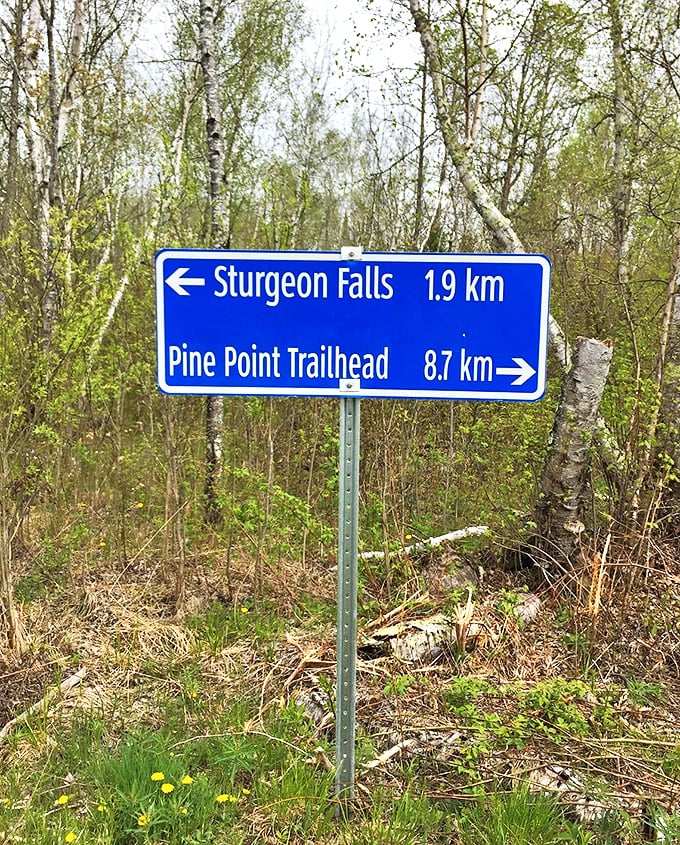 Adventure awaits: Road signs point the way to Michigan's hidden gems, measuring the distance to natural wonders in both kilometers and anticipation.