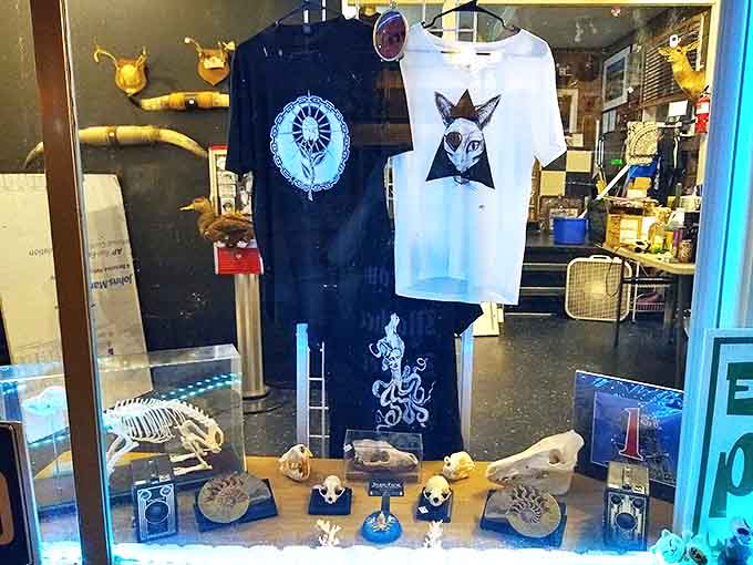 The shop window displays animal skulls alongside artistic t-shirts, a perfect preview of the wonders waiting inside.