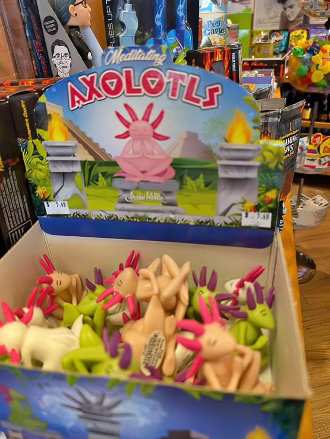 These colorful axolotl toys aren't just adorable, they're gateway collectibles that ensure you'll leave with something that doesn't cause cavities.