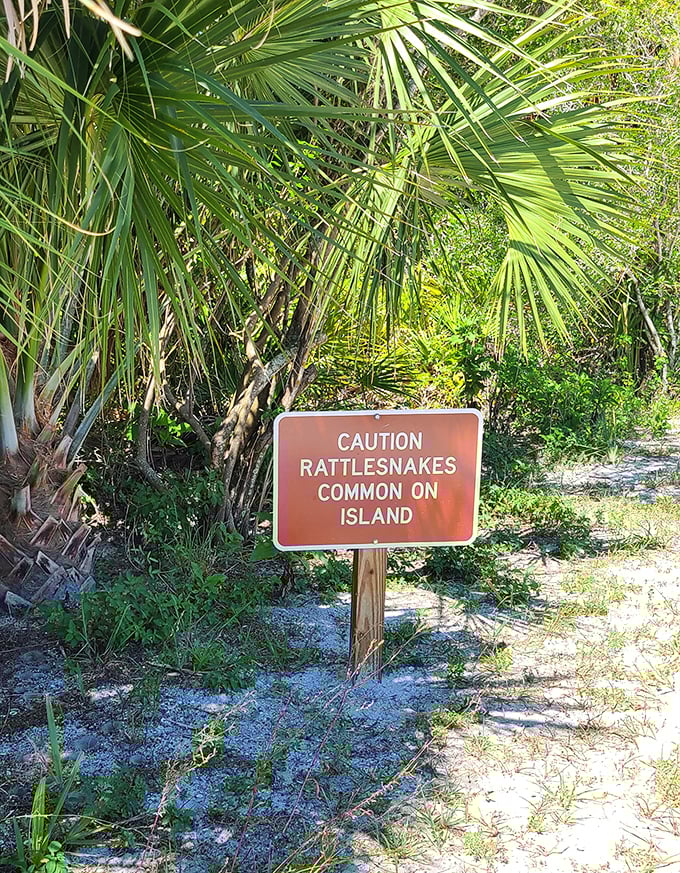 This warning sign adds a dash of wild Florida reality to paradise &ndash; even Eden had its serpents.