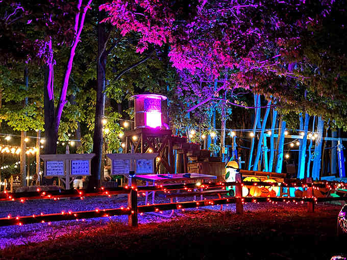 Night climbs transform the forest into an enchanted wonderland where familiar challenges take on magical new dimensions.