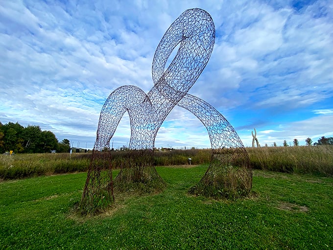 Delicate yet strong, this wire mesh arch creates ever-changing shadow patterns that dance across the ground like nature's own light show.