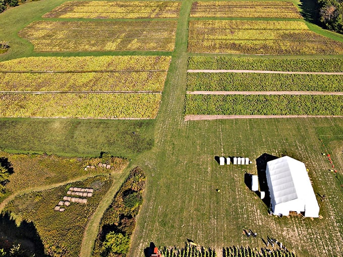 A bird's-eye view reveals the impressive scale of Treasured Haven Farm, where organized beauty stretches across the Minnesota countryside.