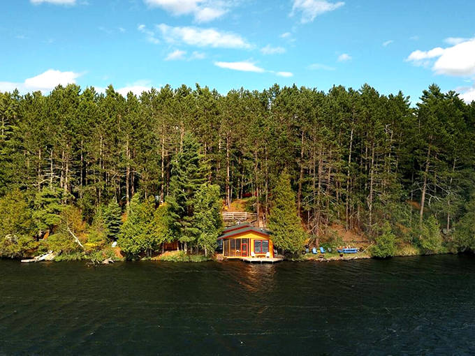 From above, the cabin's perfect positioning becomes clear: a bright yellow haven nestled between deep forest and sparkling water.