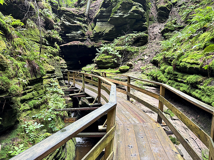 The boardwalk trail winds through impossibly narrow passages, making visitors feel like explorers discovering uncharted territory. Every turn reveals new wonders in this geological masterpiece.
