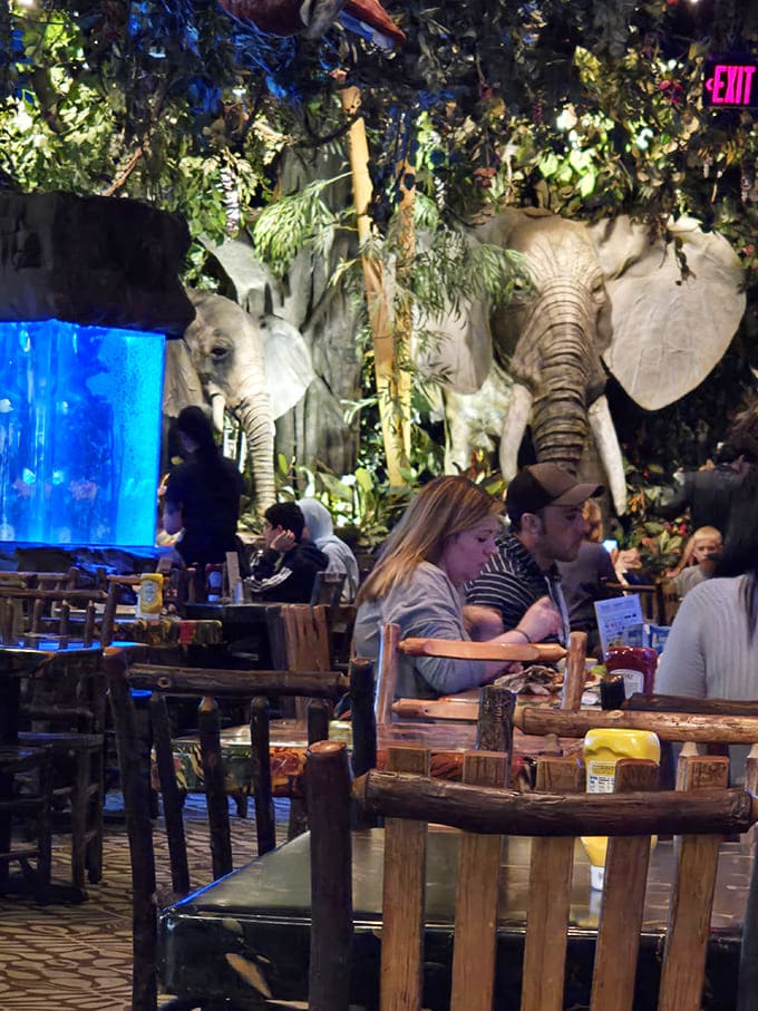 Evening dining transforms the space into something almost romantic, assuming your idea of romance includes periodic thunderstorms and animatronic wildlife.