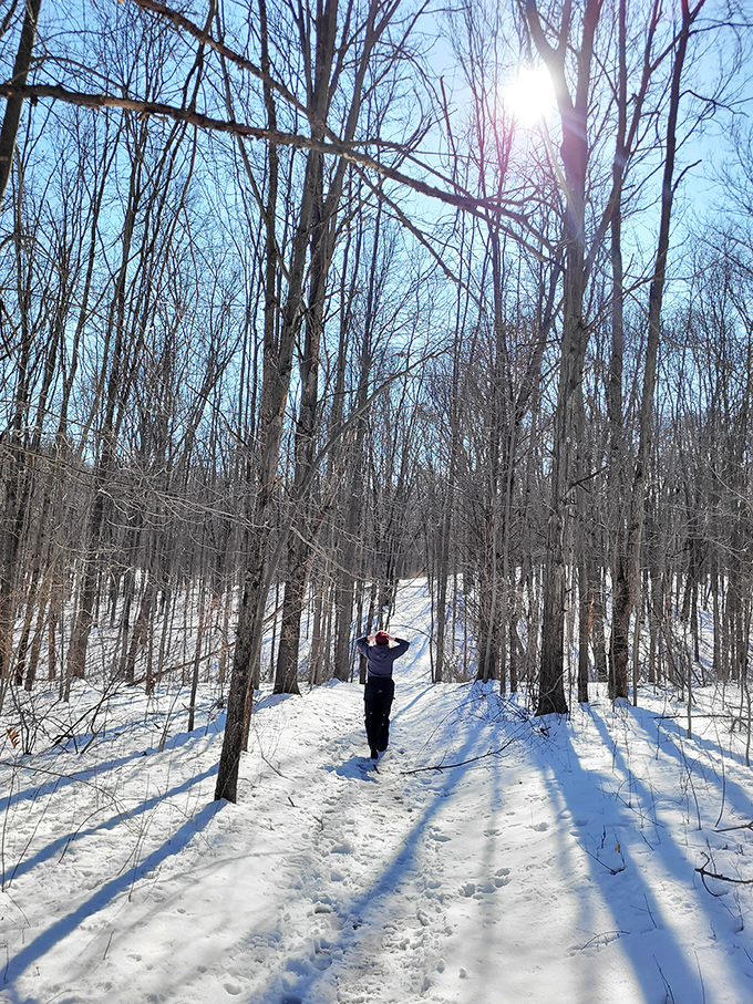 Winter transforms familiar paths into pristine wonderlands, where each footstep writes a temporary signature in nature's blank page.