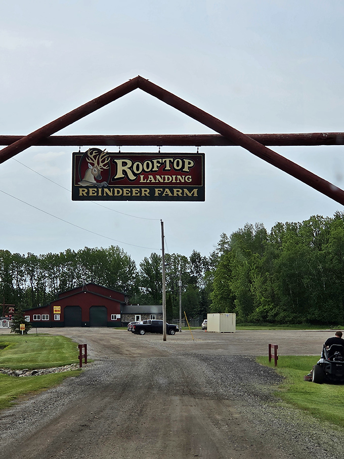 The welcoming entrance arch signals your arrival at a place where Christmas spirit lives year-round, and reindeer are always ready for visitors.