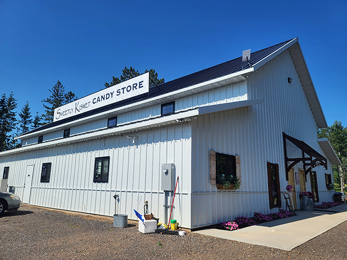 The Sweetly Kismet storefront stands proudly against the Minnesota sky, its clean lines and simple signage belying the colorful chaos of sweetness waiting inside.