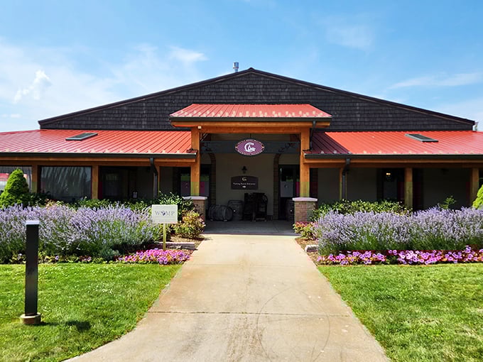 Lavender frames the entrance to the tasting room, offering a fragrant welcome that sets the tone for sensory experiences within.