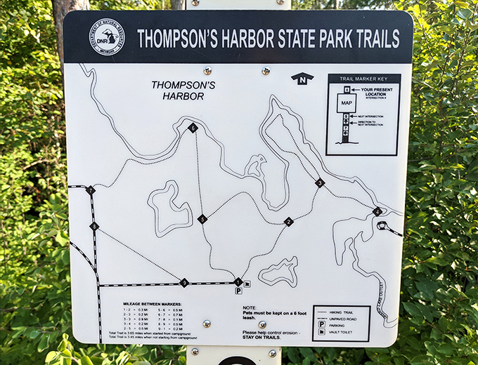 The trail map reveals a network of paths waiting to be explored &ndash; each one promising different views and experiences within this coastal treasure.