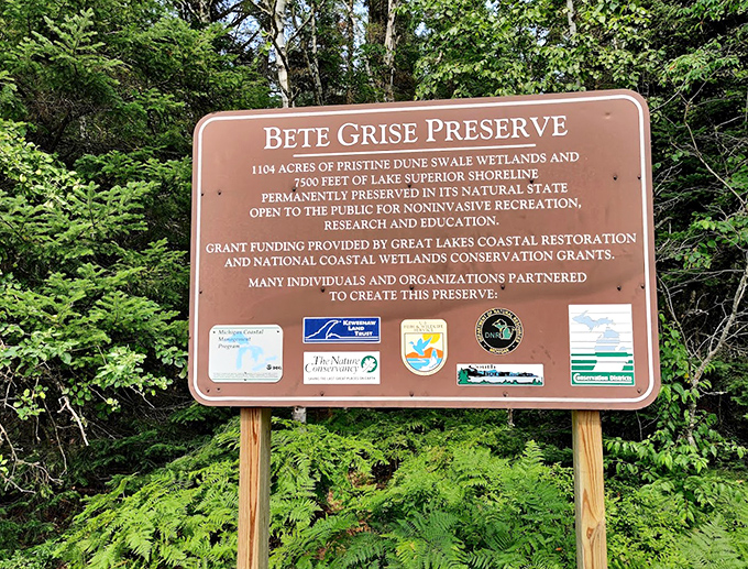 This unassuming sign marks the entrance to one of Michigan's most spectacular natural wonders &ndash; no exaggeration necessary.