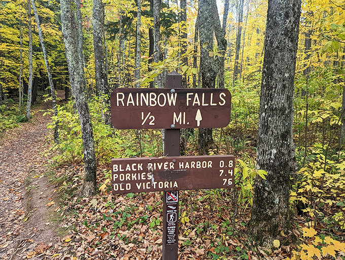 Adventure signpost in the wilderness: This humble marker points the way to extraordinary natural beauty, promising memorable experiences just half a mile ahead.