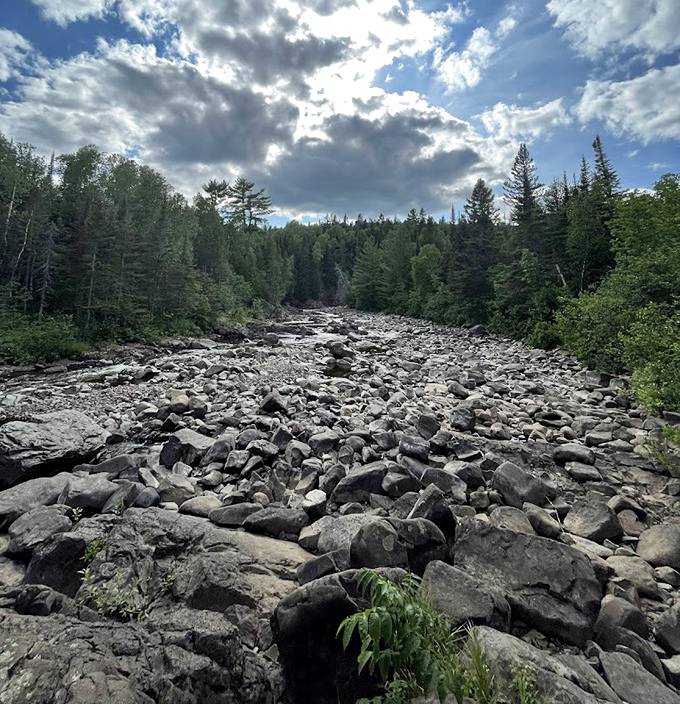 The trail's rocky path serves as nature's gentle reminder that the most rewarding views come after putting in a little effort.
