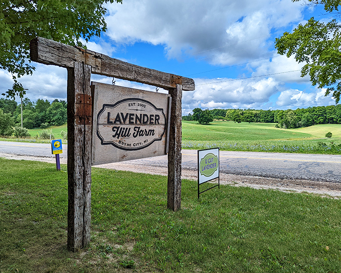 The weathered wooden sign welcomes visitors to Lavender Hill Farm &ndash; your official invitation to enter a world where everything smells better.