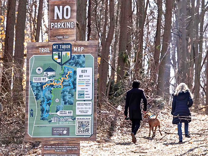 Trail markers guide hikers through changing landscapes, where forest paths lead to vineyard vistas in Southwest Michigan's hidden gem.