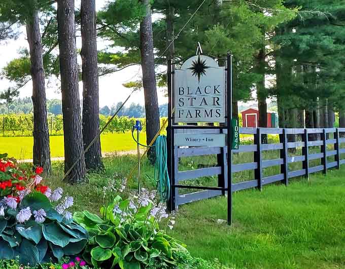 The Black Star Farms sign stands as a welcoming sentinel, promising vineyard adventures beyond the white fence and colorful garden border.