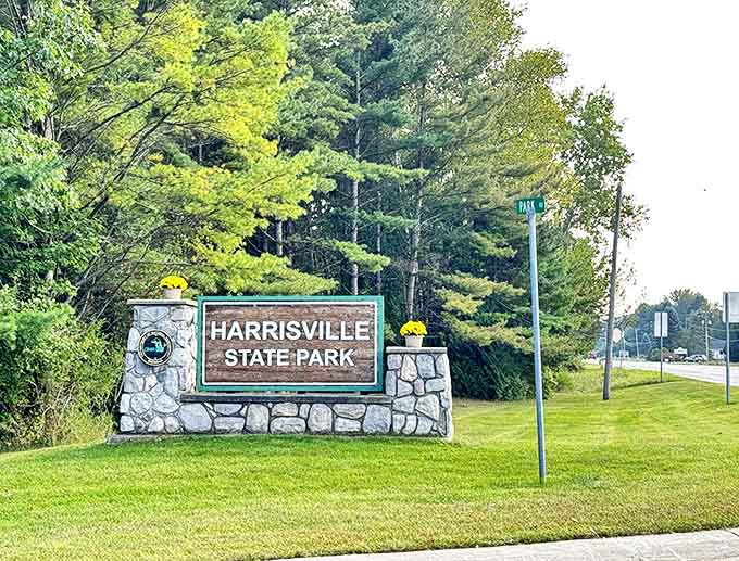 The park's entrance sign stands as a promise of the natural beauty and peaceful escape waiting just beyond.