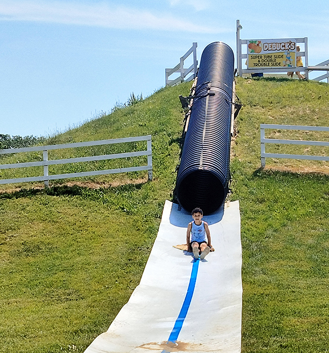 Gravity-powered joy! DeBuck's super tube slide sends kids (and brave adults) zooming downhill with the kind of laughter that's completely contagious.