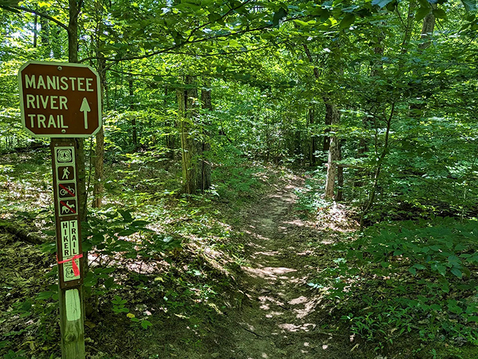The Manistee River Trail sign stands as both invitation and promise &ndash; adventure this way, memories guaranteed, no reservation required.