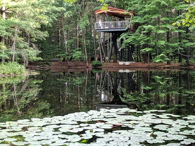 A peaceful pond reflects the treehouse structure, doubling the visual impact of this architectural gem.